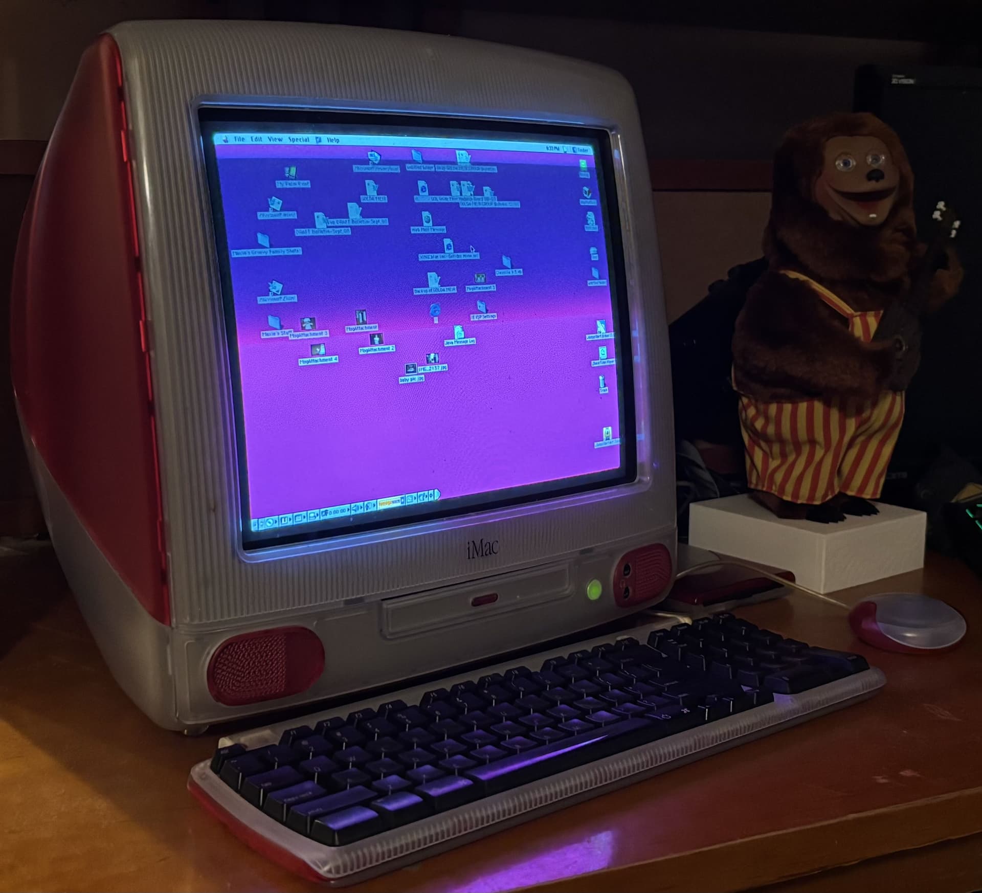 Some of my collection - Merch & Hauls - Cheese-E-Pedia Forums